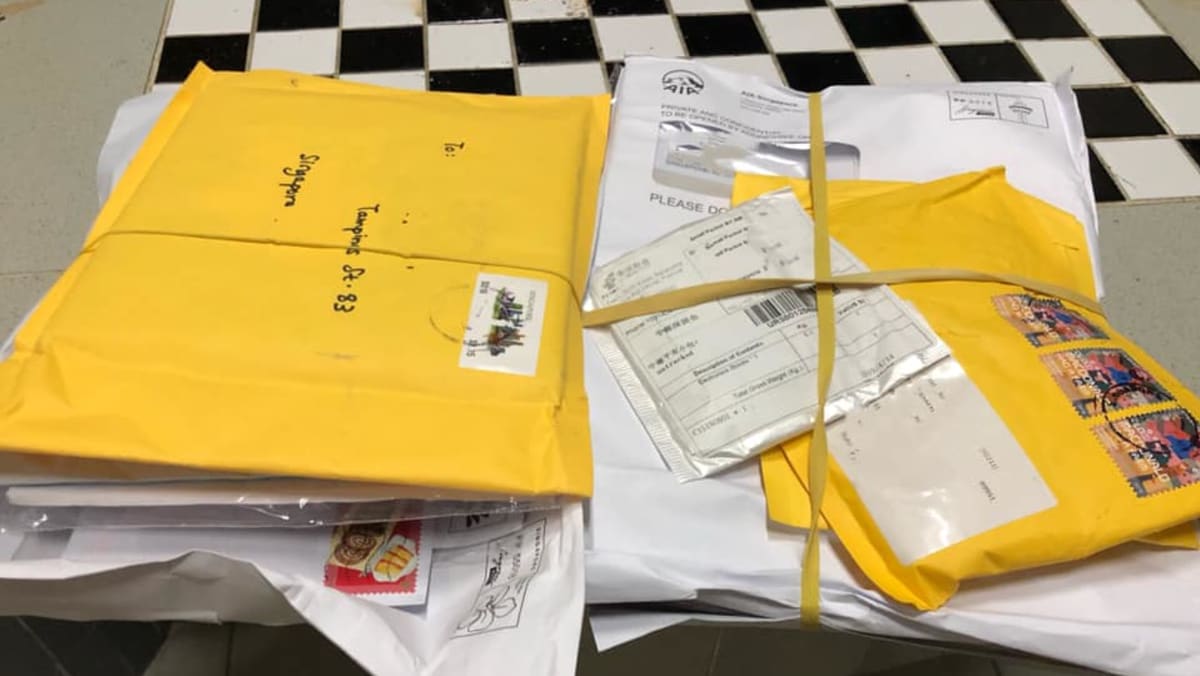 Rookie postman overlooked mail bundles after they toppled into ...