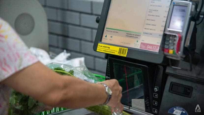 Shoppers still using plastic bags on day 1 of mandatory disposable bag ...