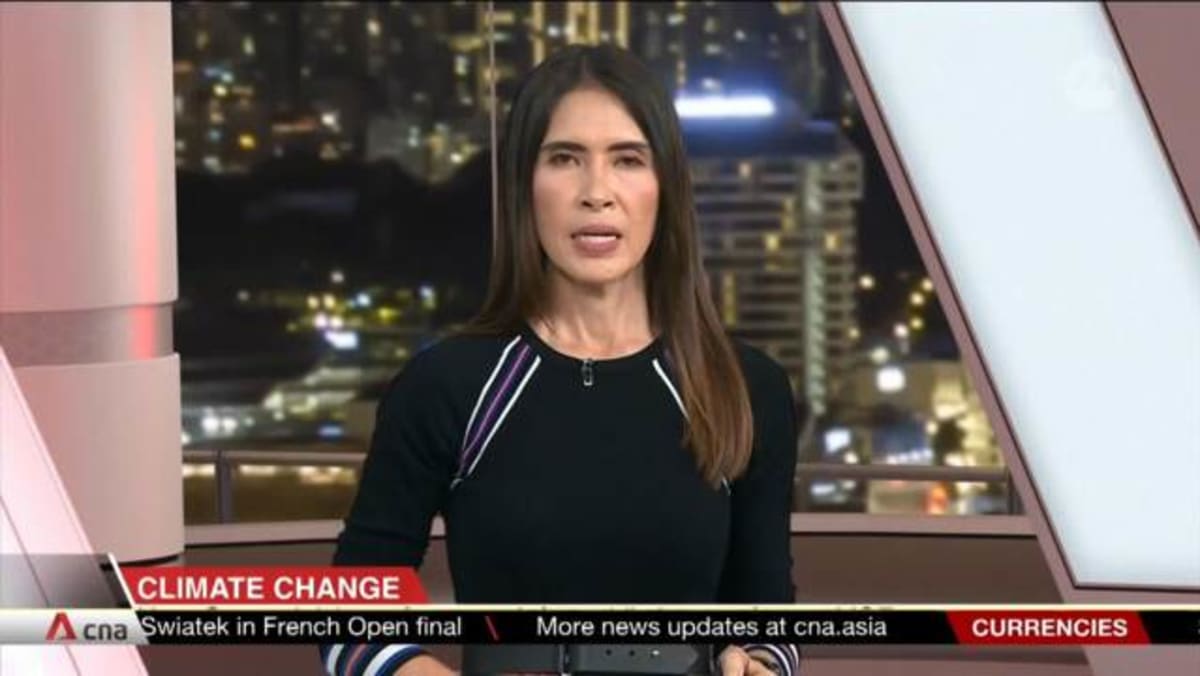 More new HDB flats in Alexandra; Orchard to see new hotel and increased ...