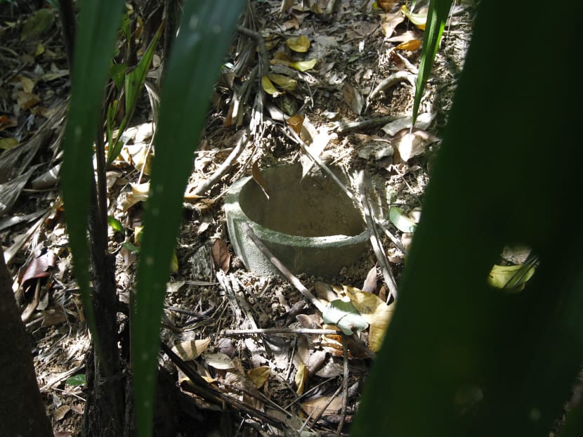 Abandoned war site at Marsiling added to list of NHB guided tours - TODAY