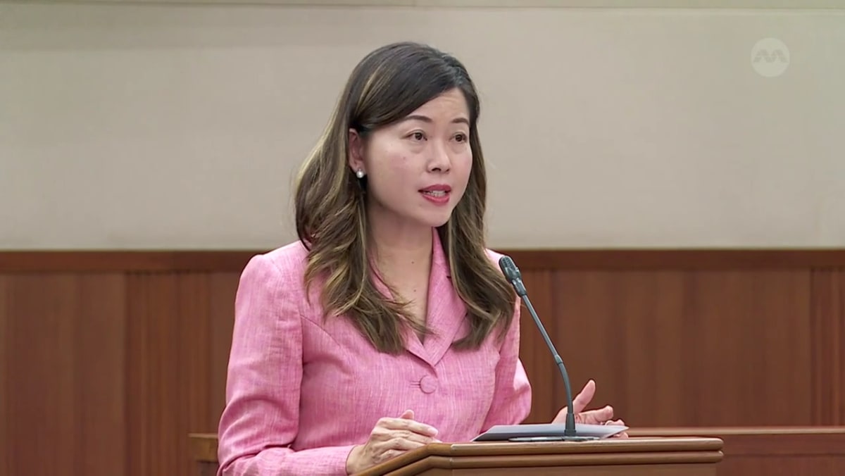 Budget 2023 debate: Ng Ling Ling on support for working adults - CNA