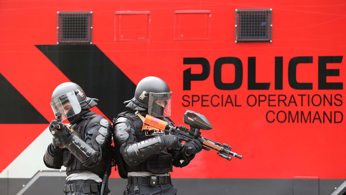 First batch of public order police to be formed by Sept next year - TODAY