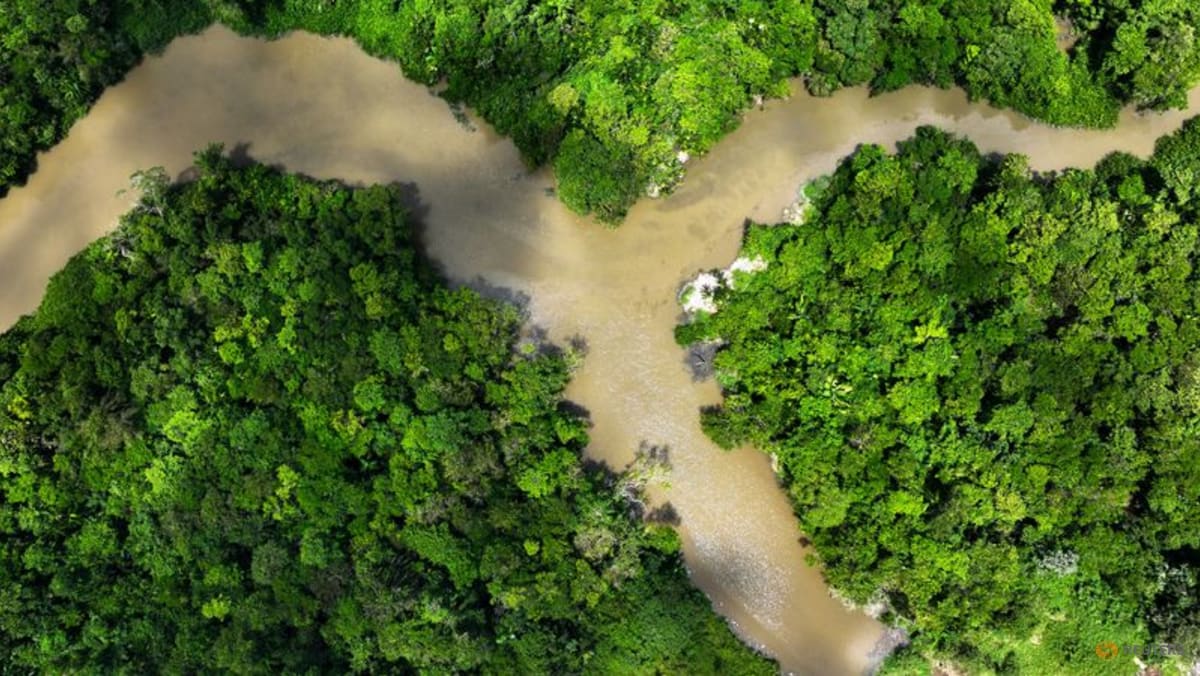 Deforestation in Brazil's Amazon falls to lowest since 2018 - TODAY