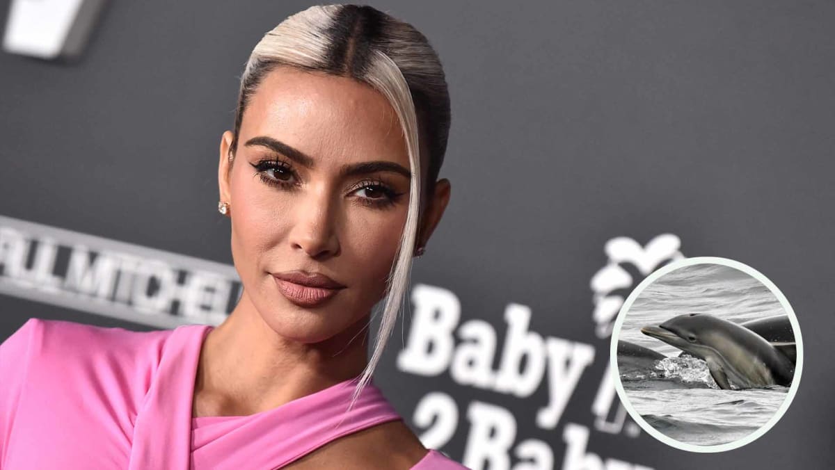 Dolphins use 'Kim Kardashian voice' to help them hunt deep under ocean ...