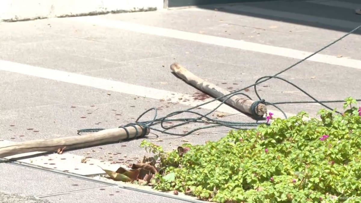 Kitchener Road murder: Six people to be charged after fatal coffee shop ...