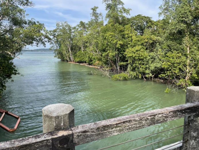 Round Island Route: Exploring the eastern half of Singapore on two ...