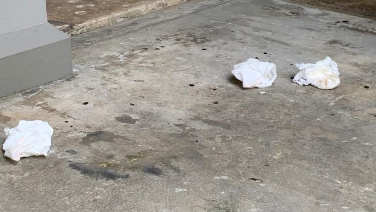 High-rise littering, progressive wages: What's new in the Environmental ...