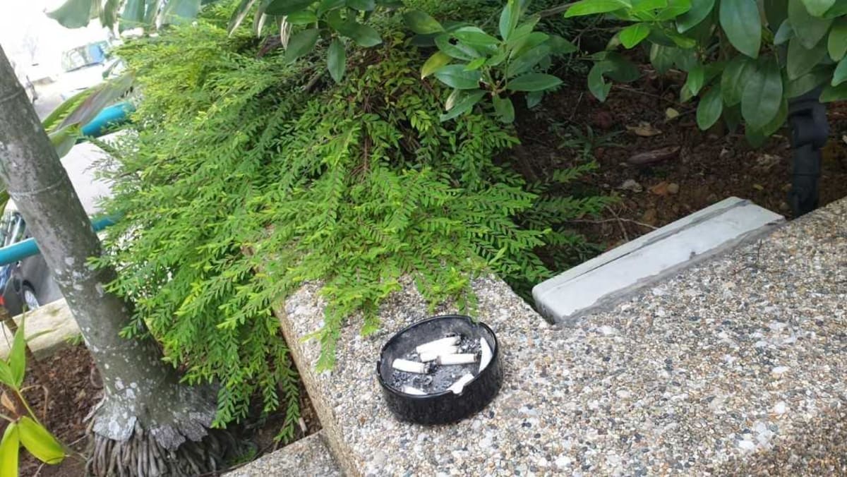 Disobeying ‘toothless’ security guards, some condo residents flout mask ...