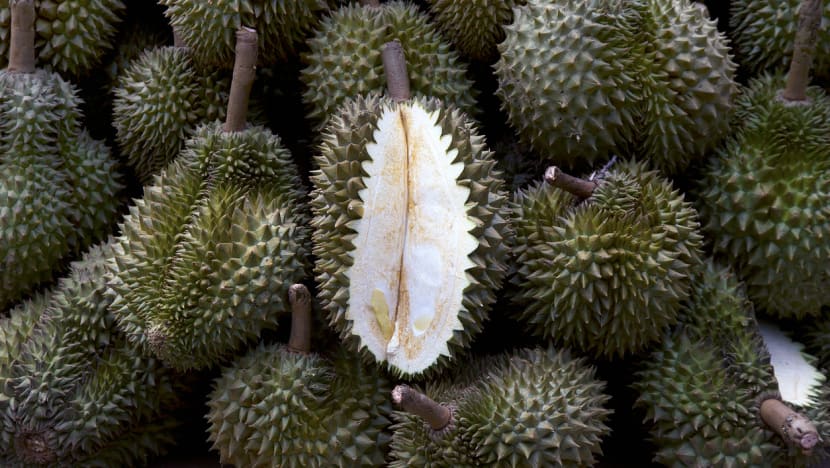 Disebut buah nasional Singapura, ternyata durian memang bisa tumbuh di ...