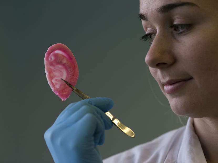 Gallery: UK scientists make body parts in lab - TODAY