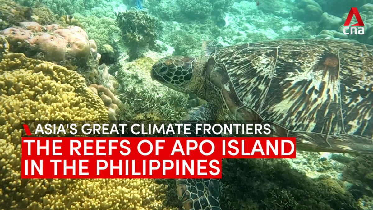 Asia's Great Climate Frontiers: The reefs of Apo Island in the ...