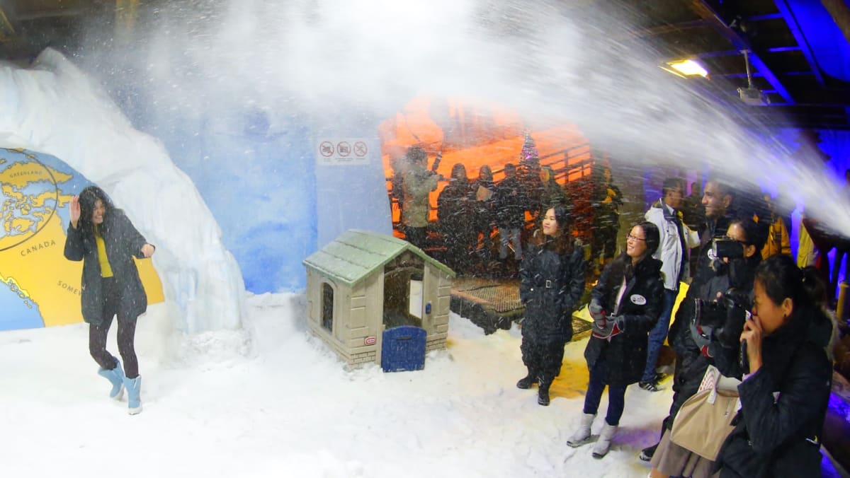 'Realistic, fine snow' part of Snow City revamp - TODAY