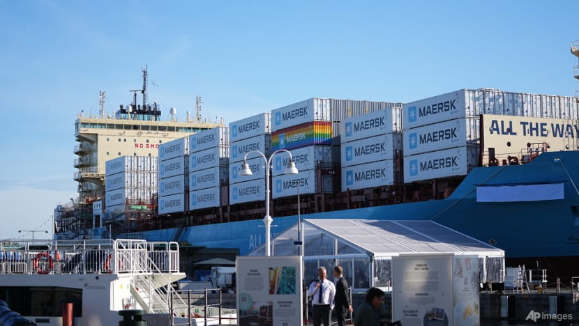 Maersk reroutes Red Sea container ships back to Suez Canal - CNA