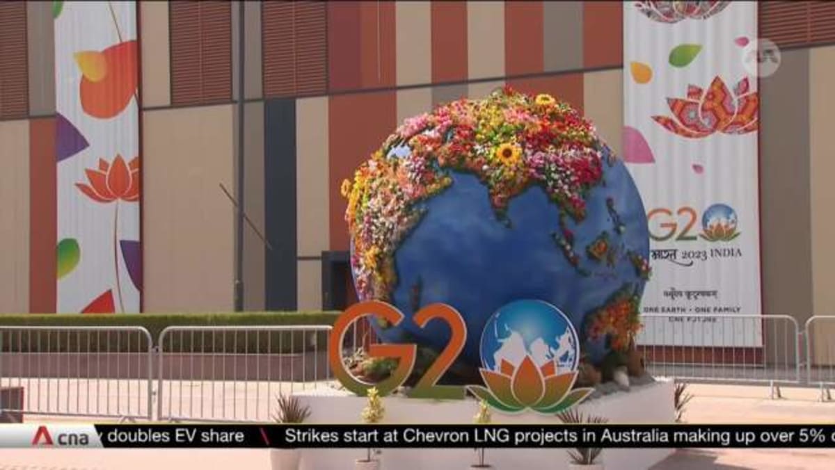 Green, inclusive growth on G20 agenda in New Delhi | Video - CNA