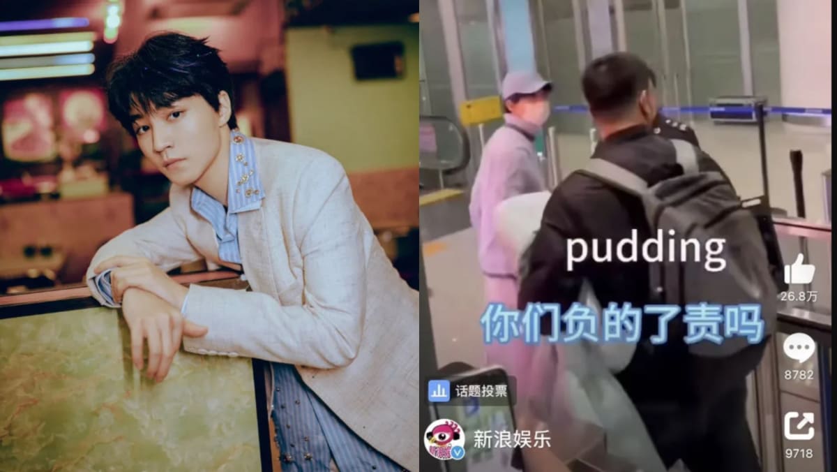 Chinese Idol Karry Wang Loses His Temper At Photographers Who Mobbed ...