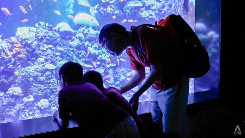 Our waters aren’t ‘boring’: Meet the disabled diver who photographs ...