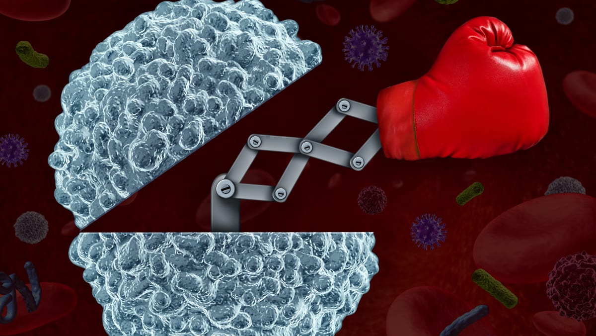 Explainer: How the human body fights infection and how you can boost ...