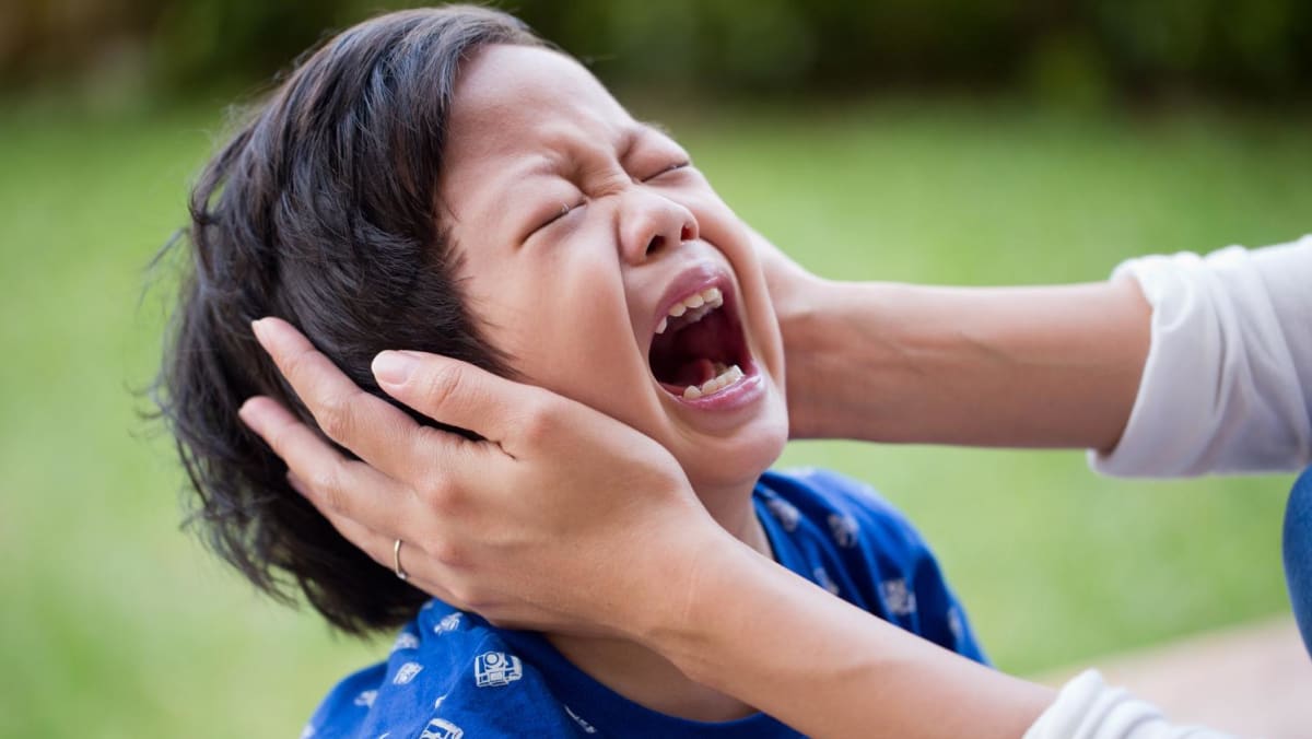 Commentary: More parents say their child is ‘dysregulated’. What does ...