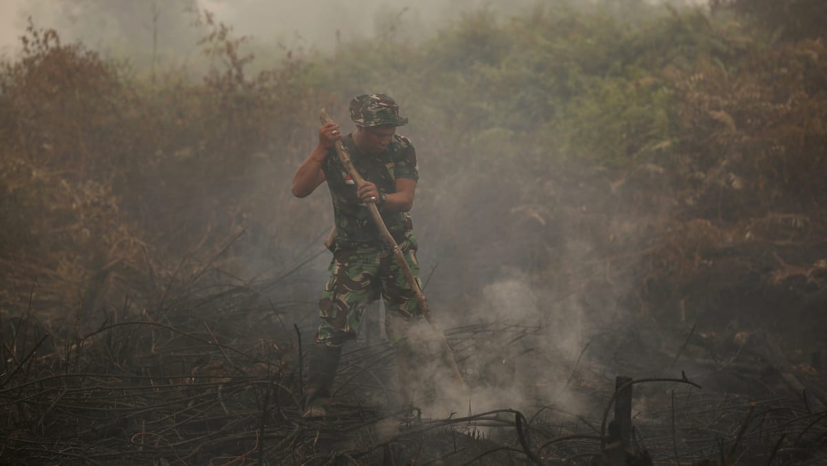 Indonesia to make green financing compulsory for banks by 2018 - TODAY