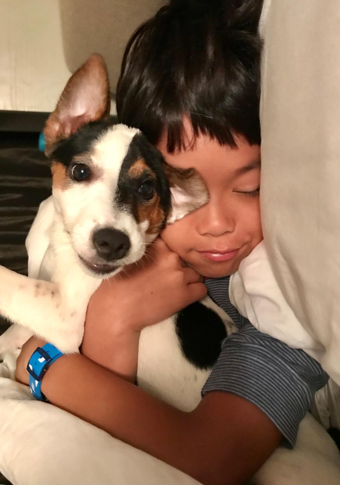 For the love of animals: How these teenagers raised thousands of ...