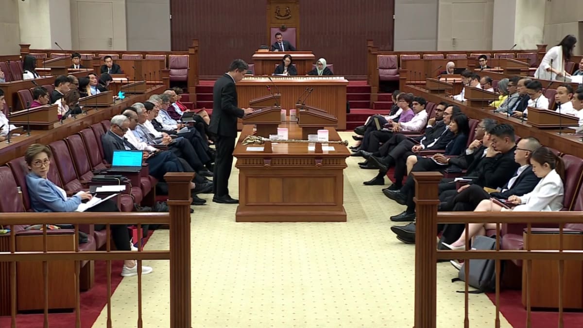 Chan Chun Sing and Hazel Poa clarify on motion calling for abolition of ...