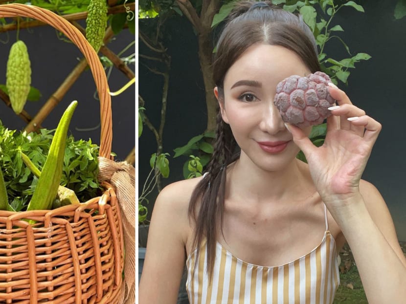 Jamie Chua Is Now Into Gardening & Farming — She Grows Veggies & Rears ...