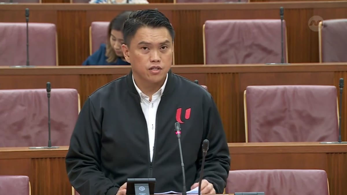 Patrick Tay on Legal Profession (Amendment) Bill - CNA