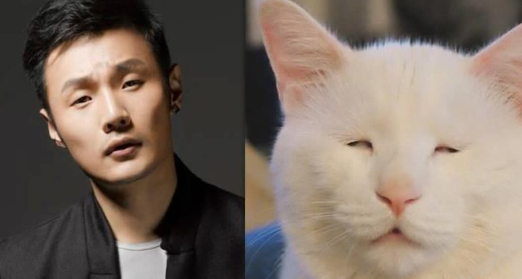 These Are The Dogs And Cats Netizens Say Look Like Li Ronghao - 8days