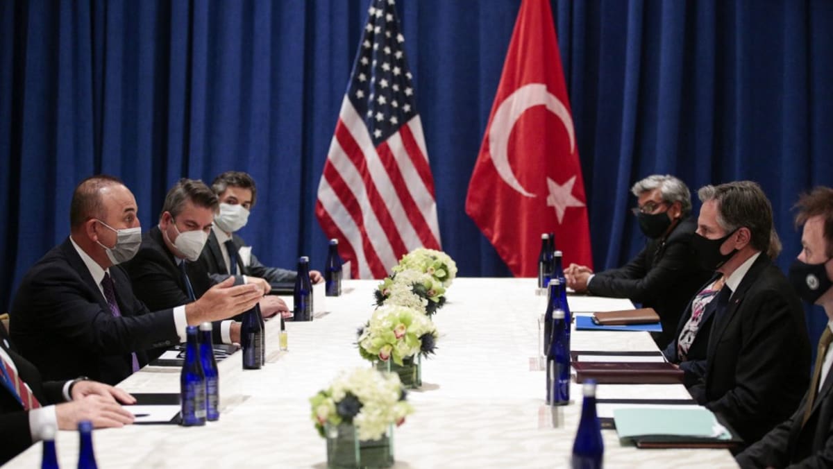 Understanding the feuds plaguing the US-Turkey alliance - CNA