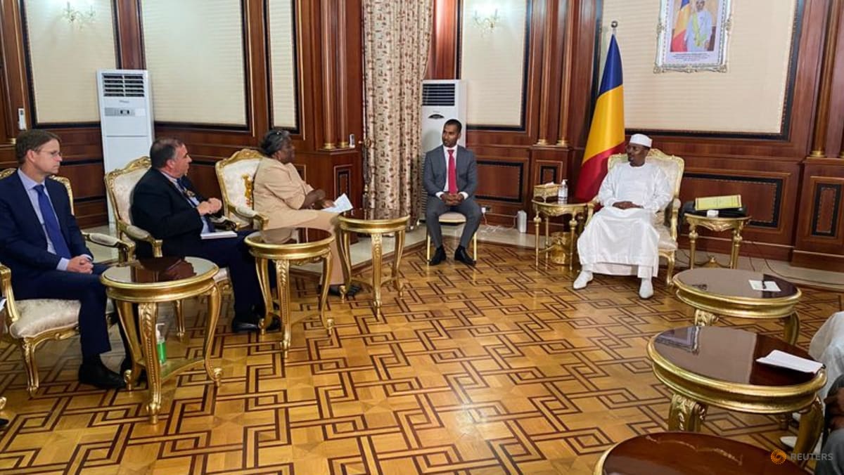 Chad president talks election challenges with US envoy to UN - TODAY