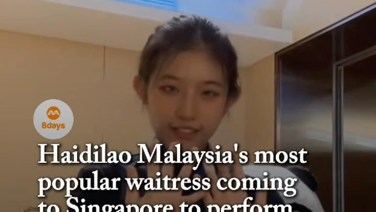 Bai Huining aka Xiao Bai will visit 10 Haidilao locations - 8days