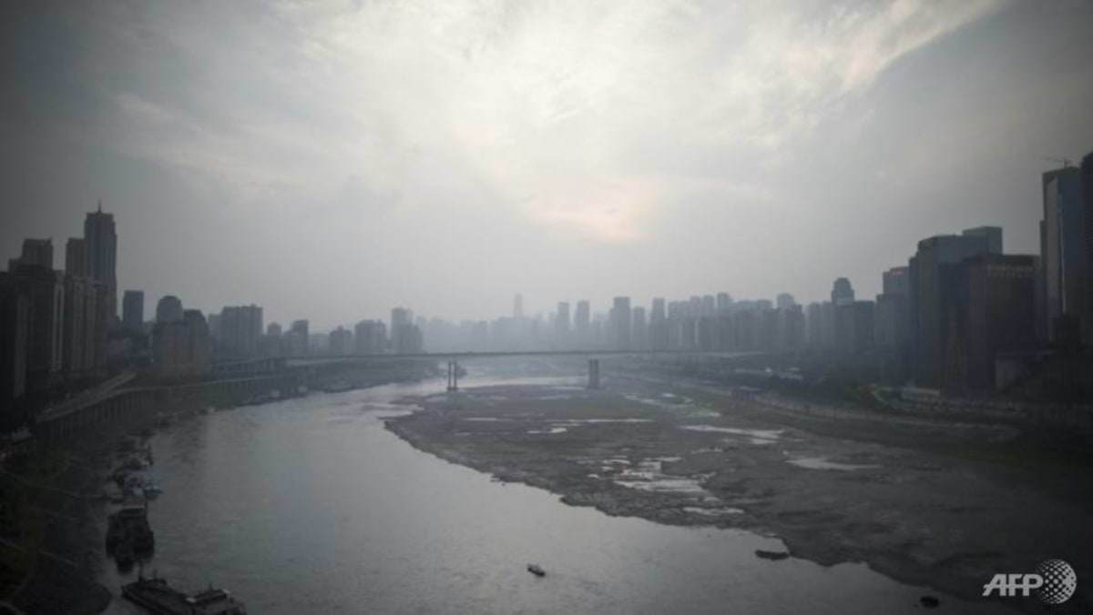 China's Yangtze region facing severe drought, affecting production ...