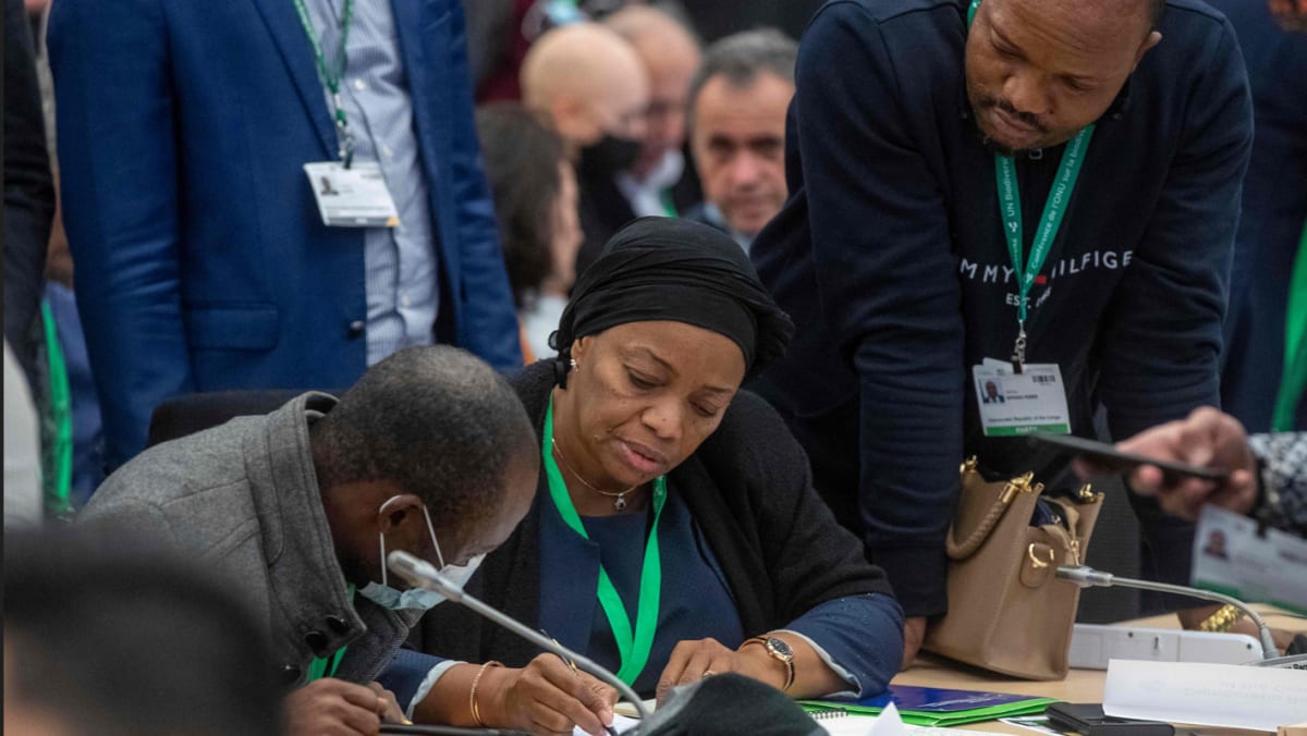A historic new agreement was signed at the COP15 World Conference ... A historic new agreement was signed at the COP15 World Conference ...