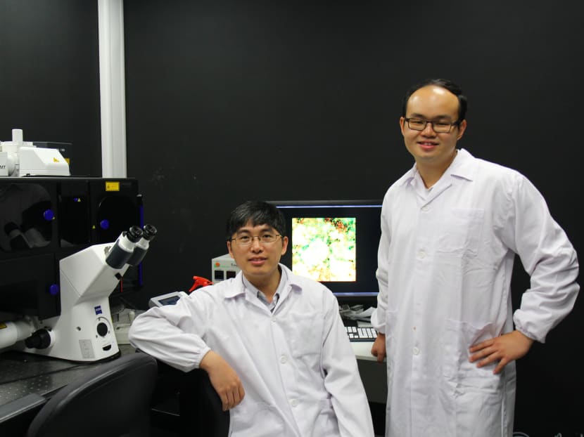NTU scientists uncover way to make antibiotics more effective - TODAY