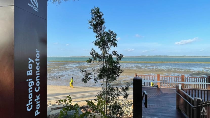 75km-long first phase of Round Island Route opens - CNA