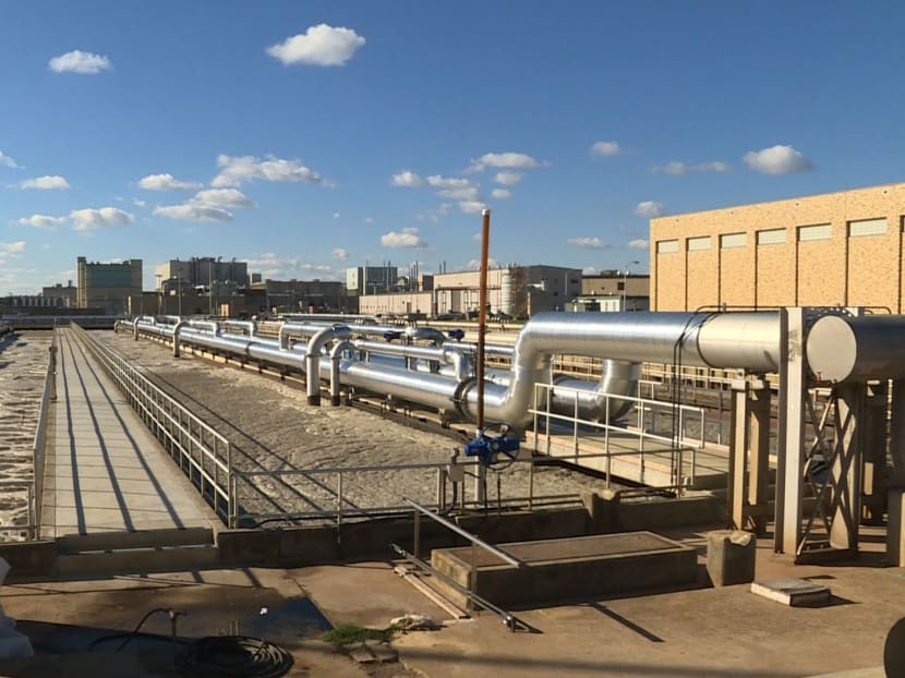 Fighting climate change with 'poop power' - TODAY