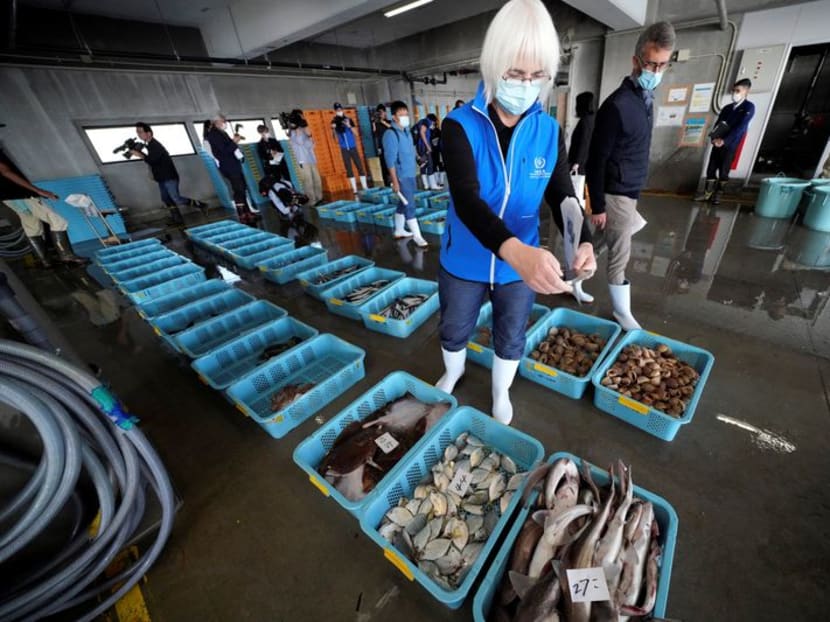 Scientists test Fukushima fish after nuclear plant water release - TODAY