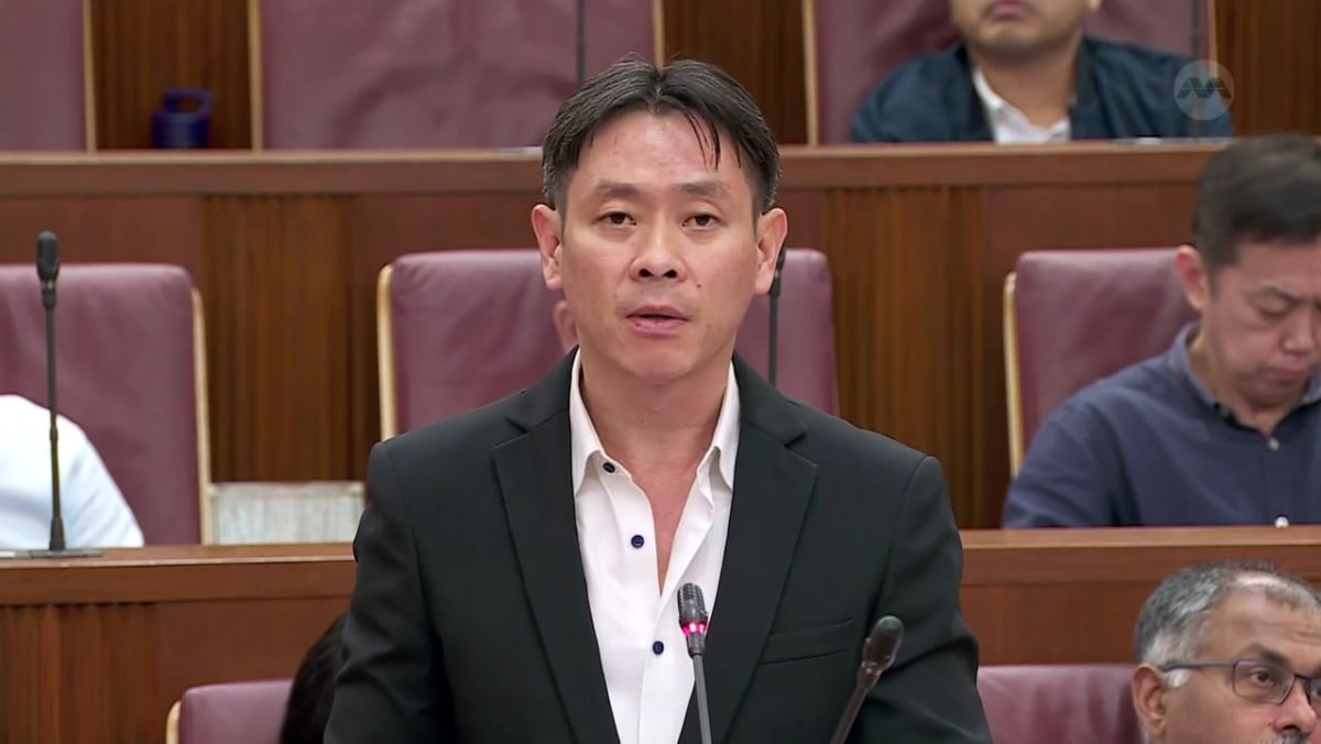 Louis Ng on Stillbirths and Births (Miscellaneous Amendments) Bill - CNA