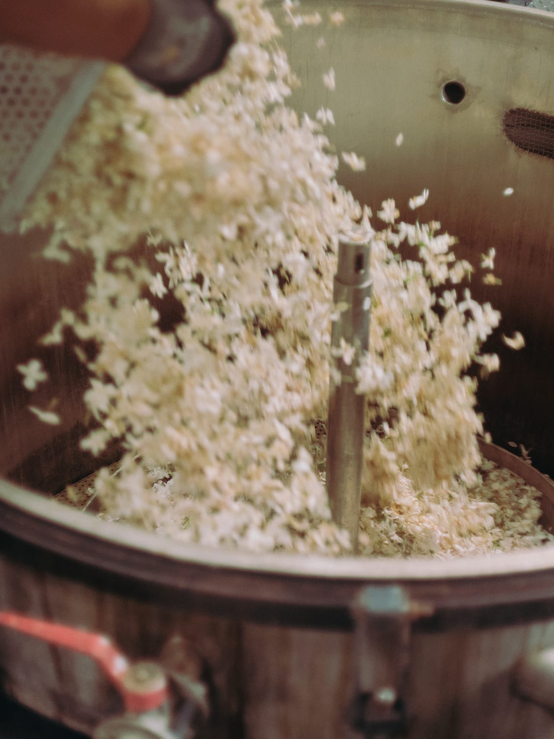 What’s Chanel N5 perfume’s secret ingredient? Lots of jasmine flowers ...