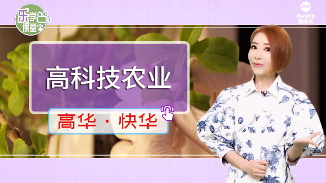 【高华快华】化学博士致力发展高科技农业 本地有望自产葡萄 - 8world