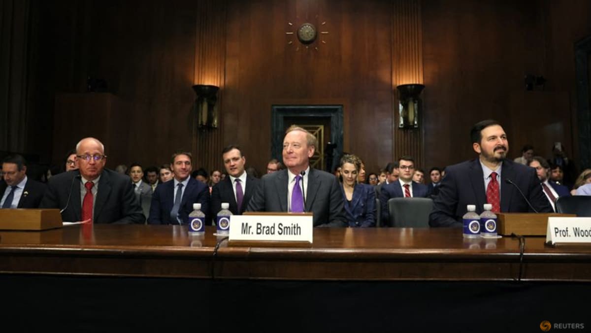 Musk says AI 'referee' needed after meeting with US lawmakers - CNA