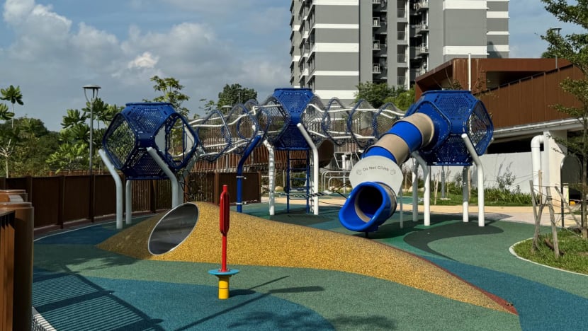 Ulu Pandan park connector fully reopens after Clementi landslide ...