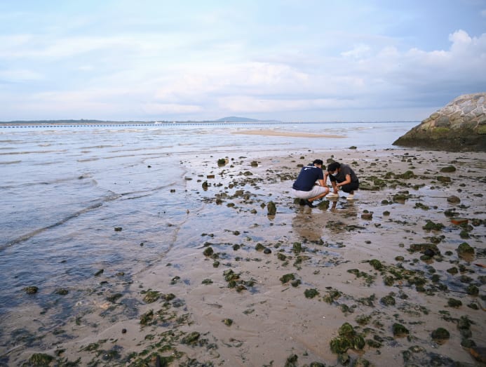 Up Your Alley: Changi - an iconic airport, plane spotters' paradise and ...