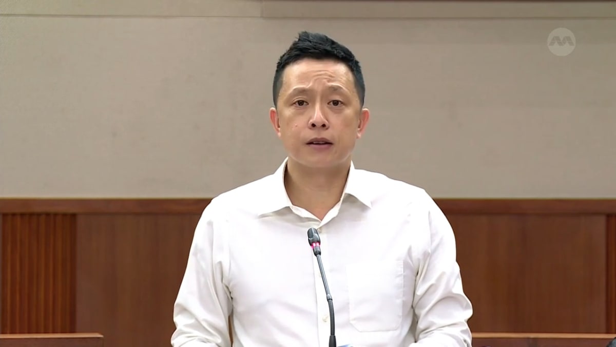 Yip Hon Weng on Mental Capacity (Amendment) Bill - CNA