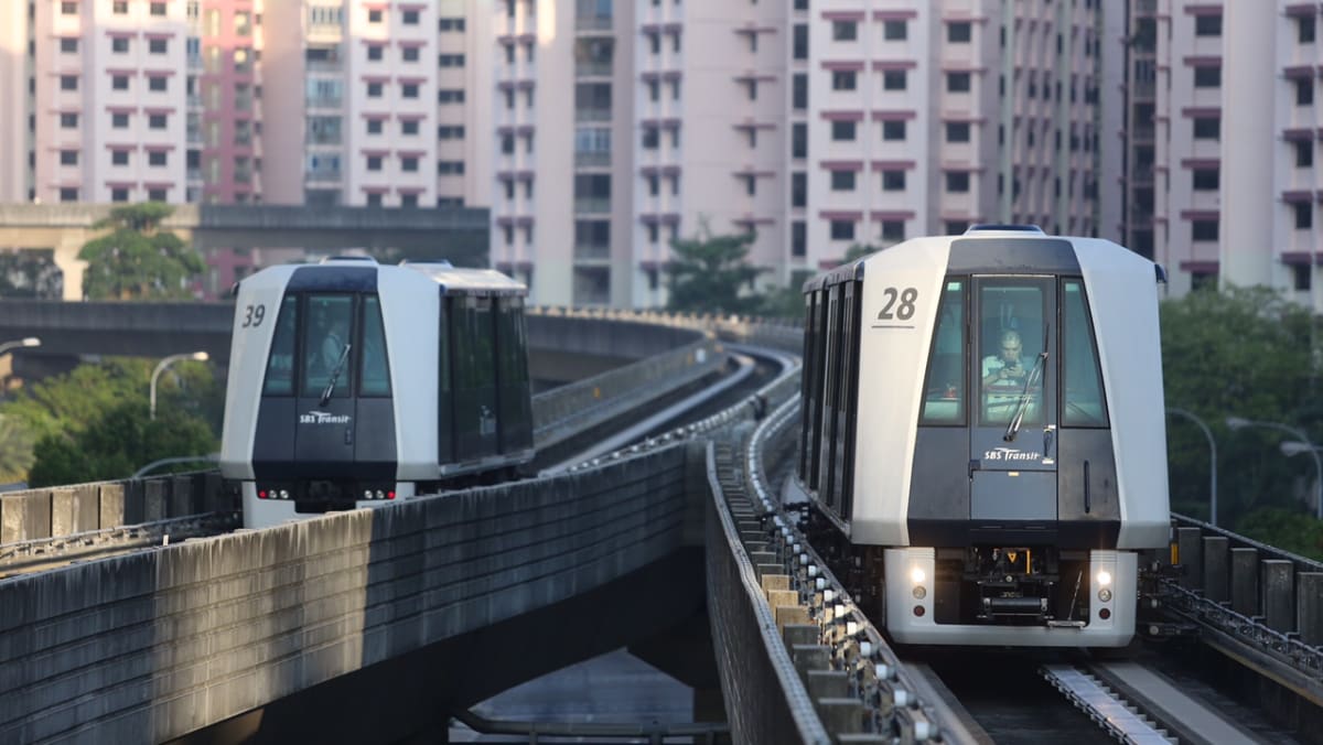 Sengkang LRT accident: Passenger lost balance as she was boarding train ...