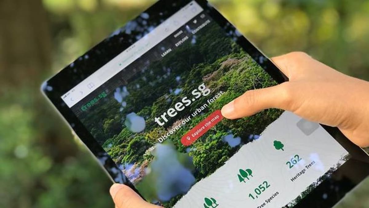 NParks lancarkan peta online paparkan 500,000 pokok di S'pura - BERITA ...