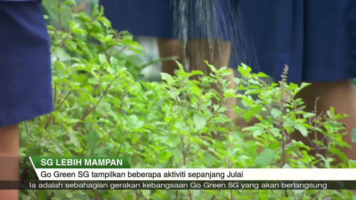 Go Green SG tampilkan beberapa aktiviti sepanjang Julai - BERITA Mediacorp