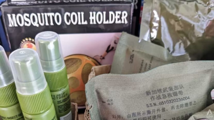 Wanita dijel gara-gara tipu guru untuk labur S$145,500 dalam perniagaan ...