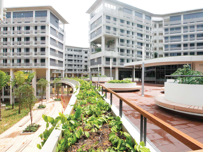 NTU students to get second bite at failed modules - TODAY