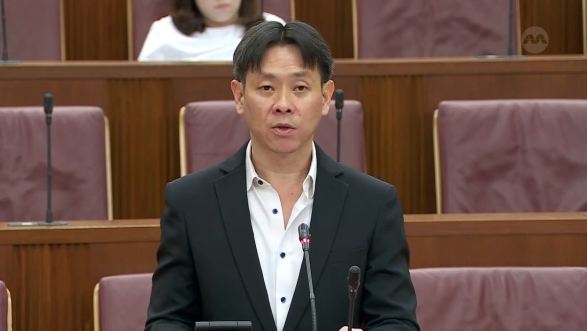 Louis Ng on Women's Charter (Family Violence and Other Matters ...